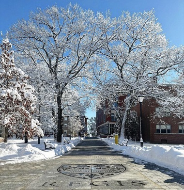 Regis College Men's Volleyball Camps | at Regis College | Weston ...